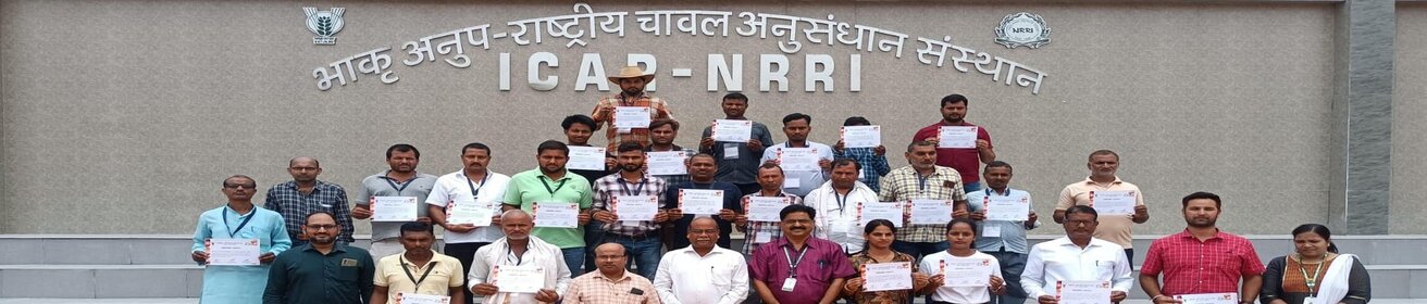 NRRI Training Portal